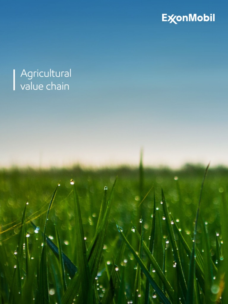Agricultural Value Chain en | PDF | Exxon Mobil | Polyethylene