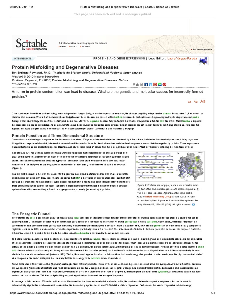 Protein Misfolding and Degenerative Diseases - Learn Science at Scitable | PDF