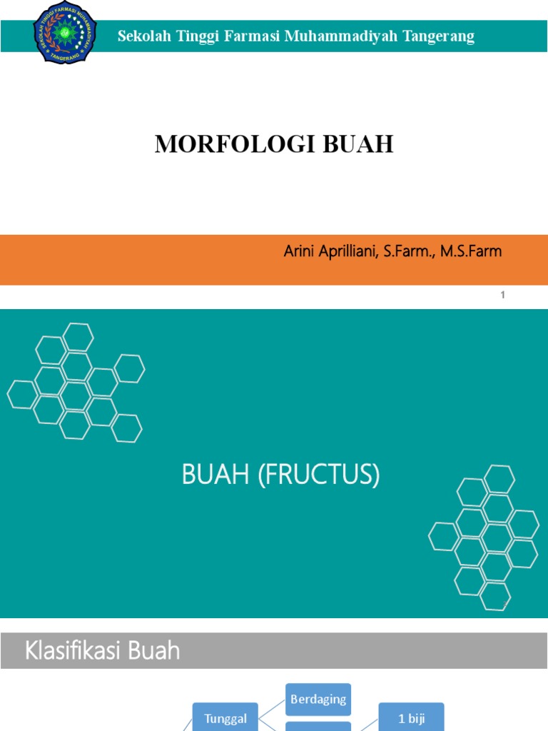Morfologi Buah | PDF