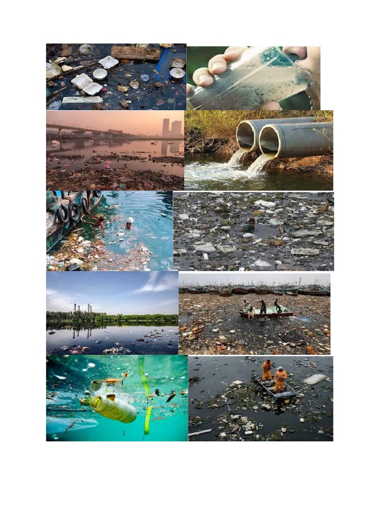 Water Pollution | PDF