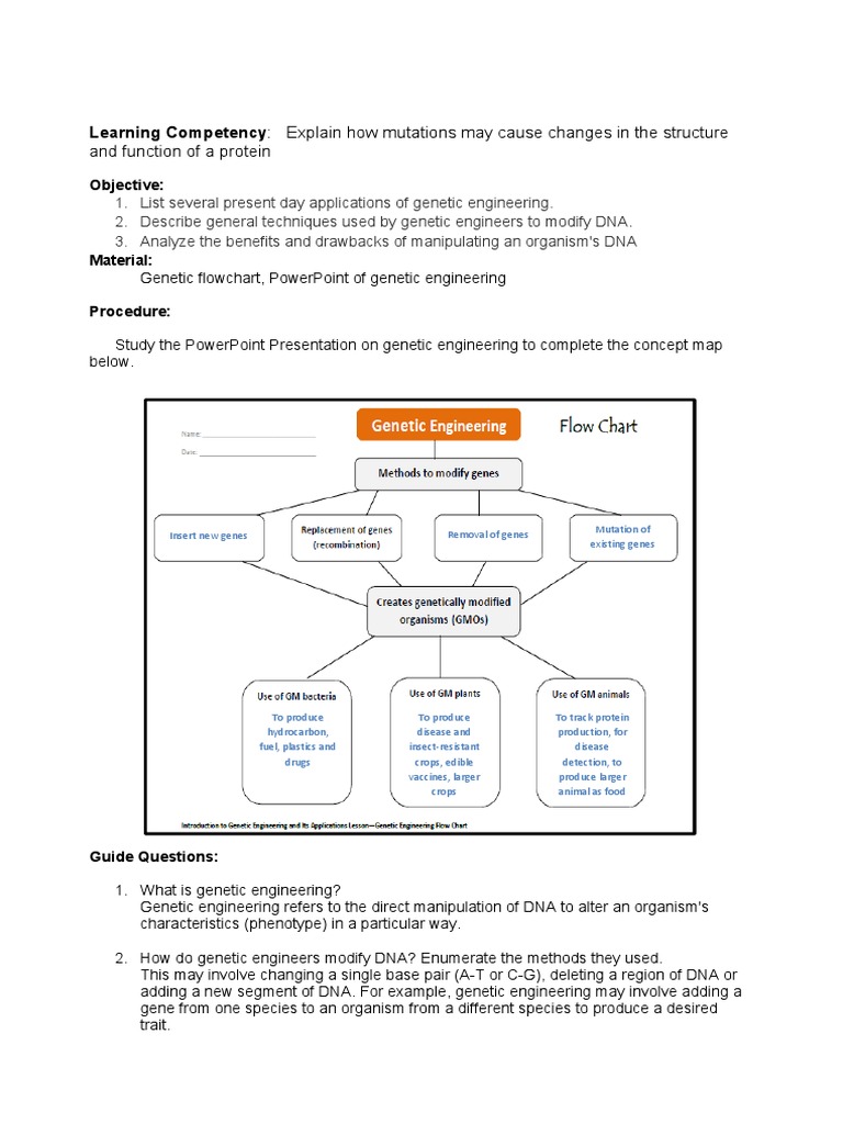 Genetic Engineering Insights | PDF | Genetic Engineering | Genetics