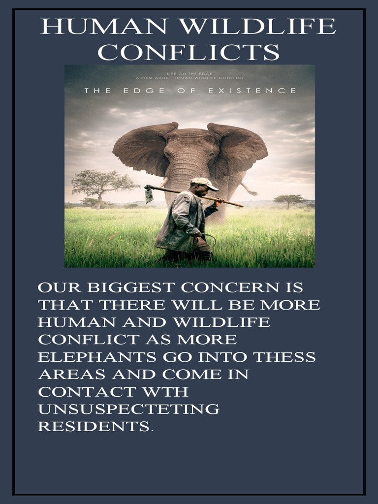 A Level Frs Syllabus | PDF | History