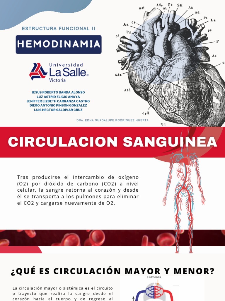 HEMODINAMIA | PDF | Sistema circulatorio | Vena