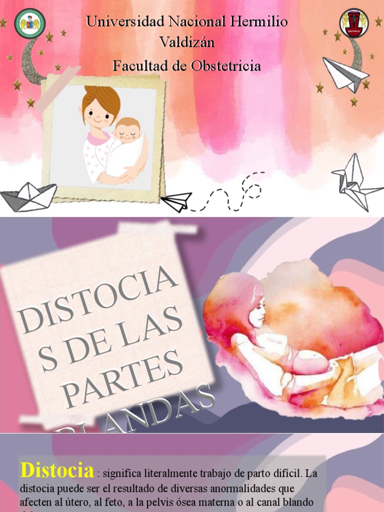 Distocias de Las Partes Blandas | PDF | Parto | Vagina