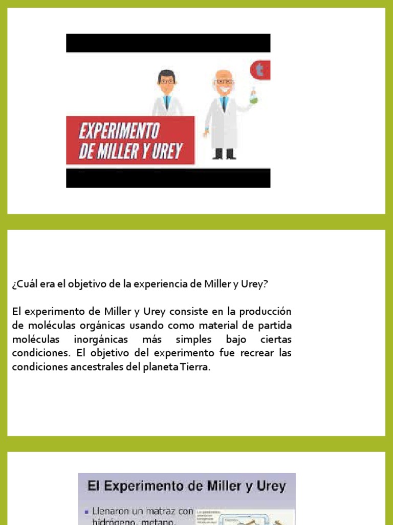 Experimento de Miller y Urey | PDF | Ciencias fisicas | Naturaleza