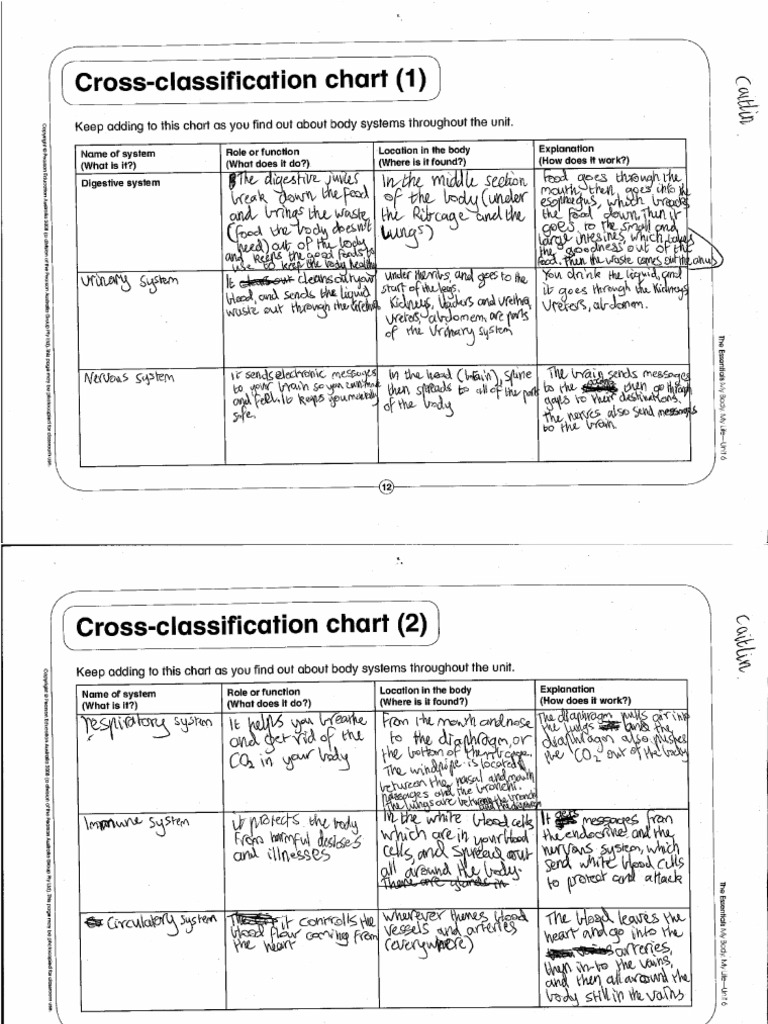 Cross-Classification Chart (1) ,: (,,,yaer (-VT | PDF