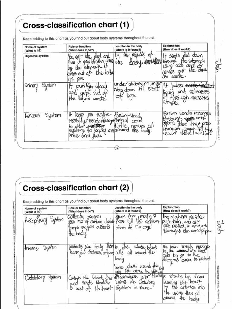 Cross-Classification Chart (1) : Midile | PDF