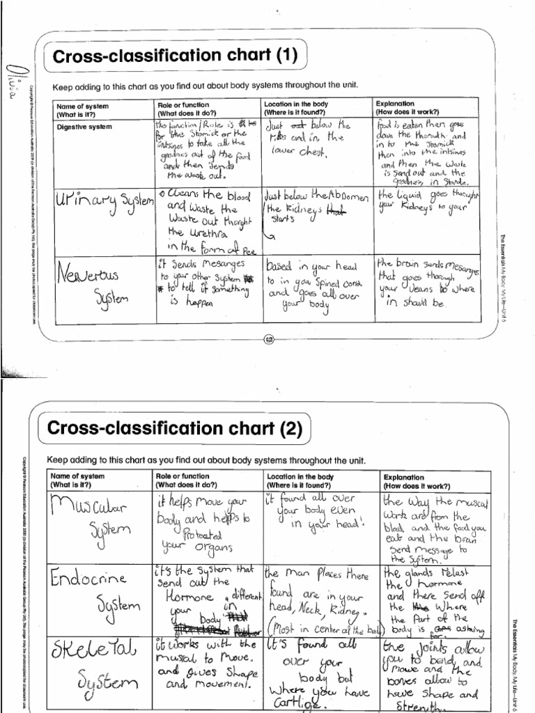Cross-Classification Chart (1) : E.,nc, TC P-Nesar Cs | PDF