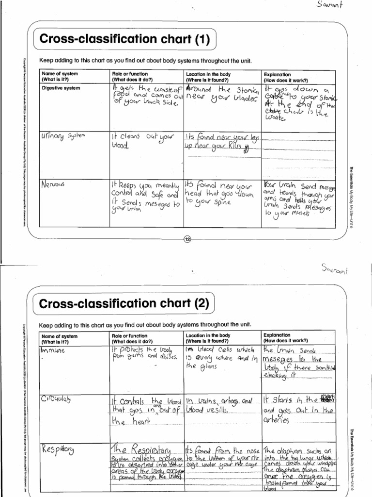 Cross-Classification Chart (1) : 4 Oca/04 5 - Col e C, Kir Wxue b-1, c4 ...