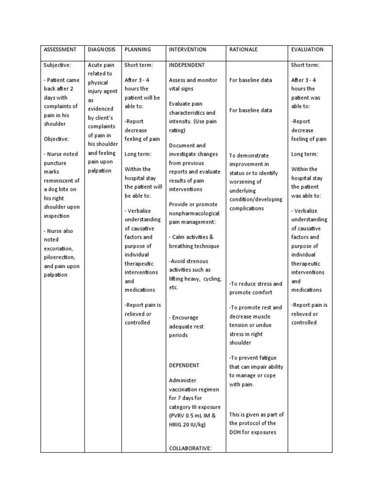Actual NCP - Rabies | PDF | Pain | Physical Examination