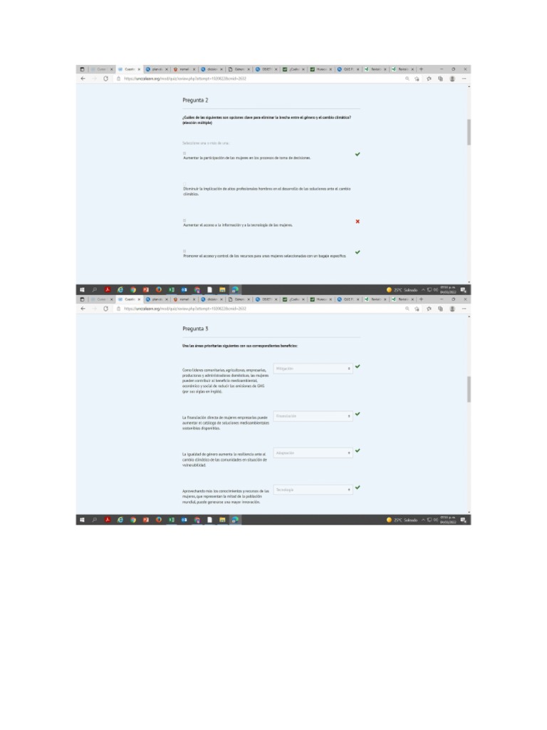 Respuestas Modulo 3 Genero y Medio Ambiente | PDF