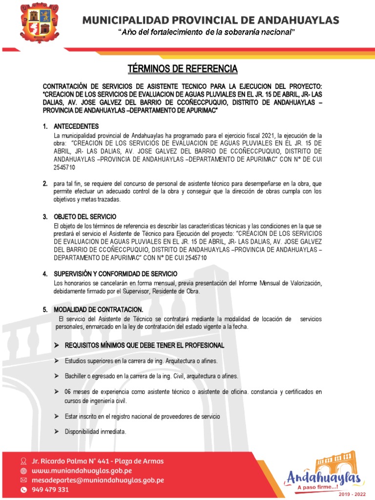 TDR Asistente Tecnico 15 Abril | PDF