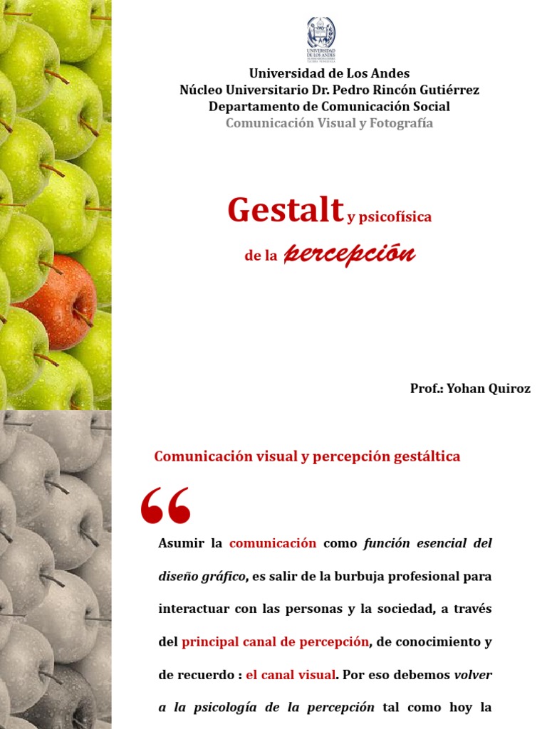 Teoria de La Gestalt y Psicofisica de La Percepcion | PDF | Percepción ...