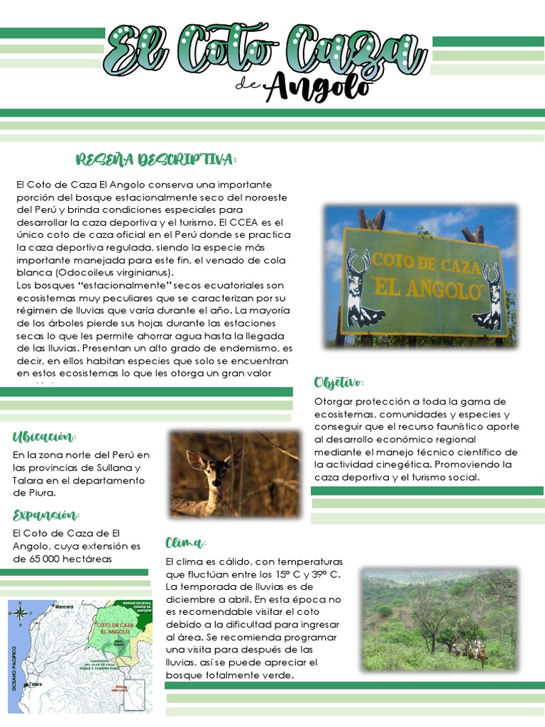Ccss El Coto Caza de Angolo | Descargar gratis PDF | Los bosques | Jaguar