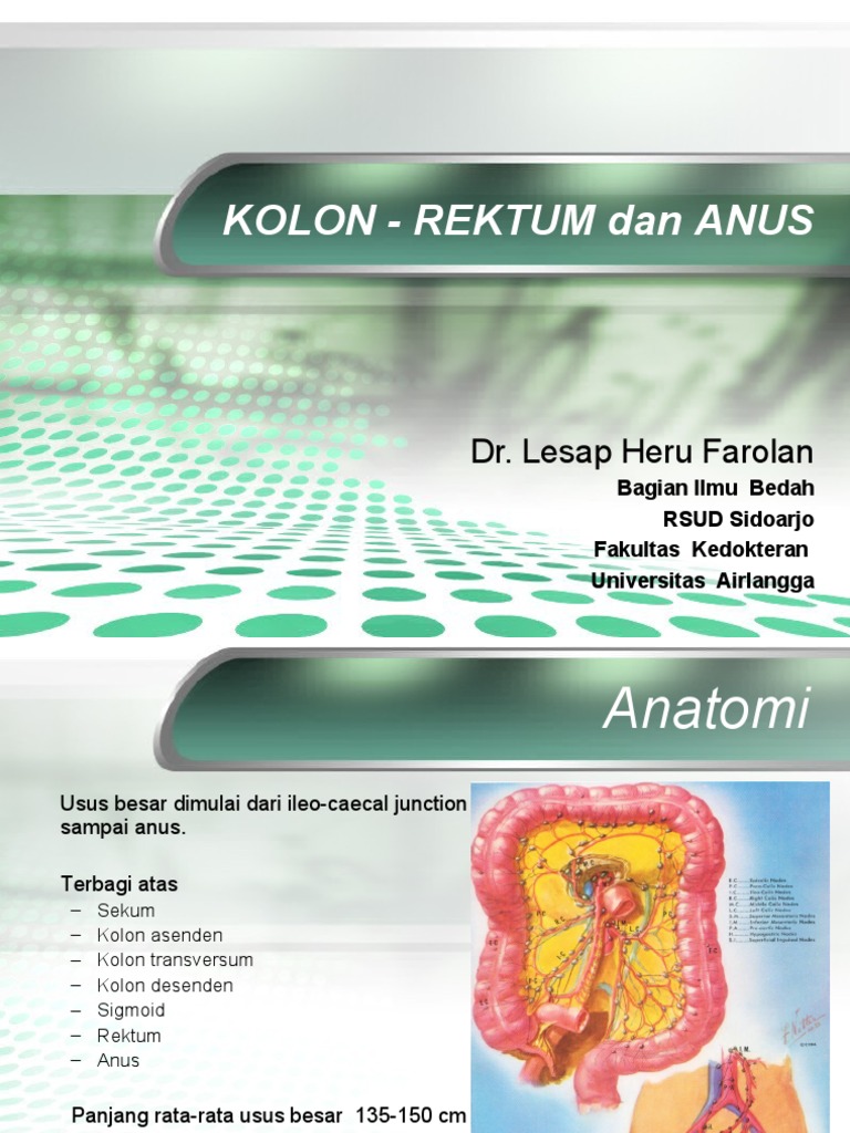 Anatomi, Fisiologi, dan Penyakit Kolon-Rektum dan Anus | PDF