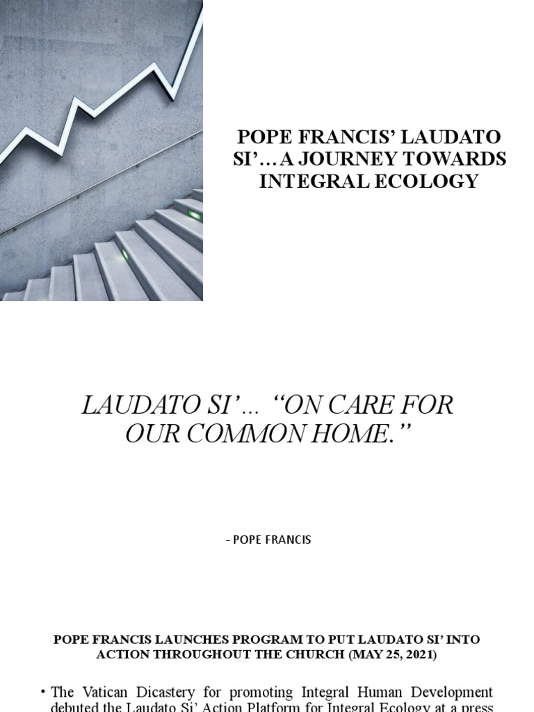 Pope Francis' Laudato Si | PDF