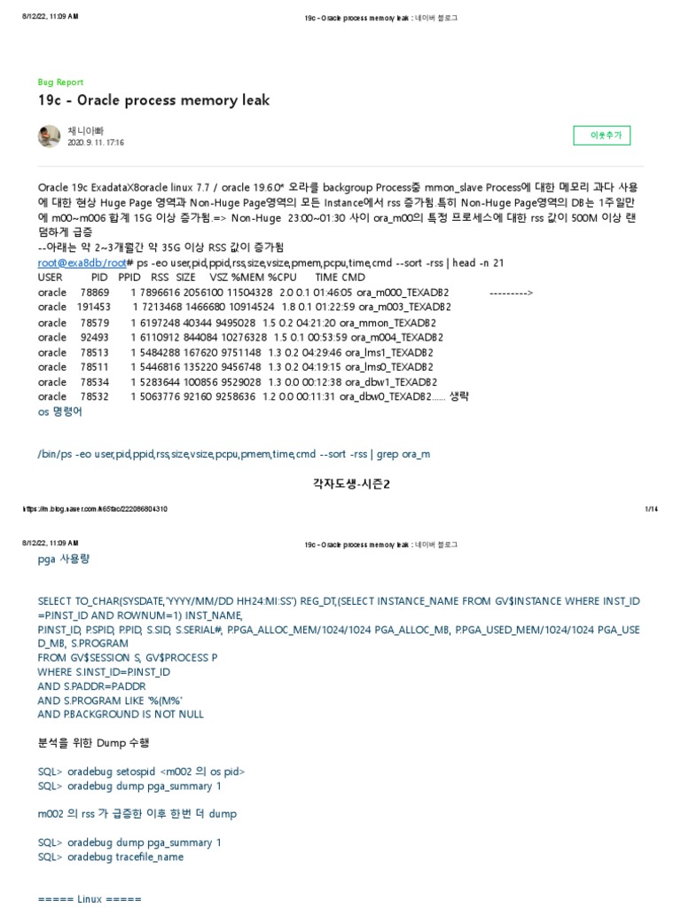 19c - Oracle Process Memory Leak | PDF
