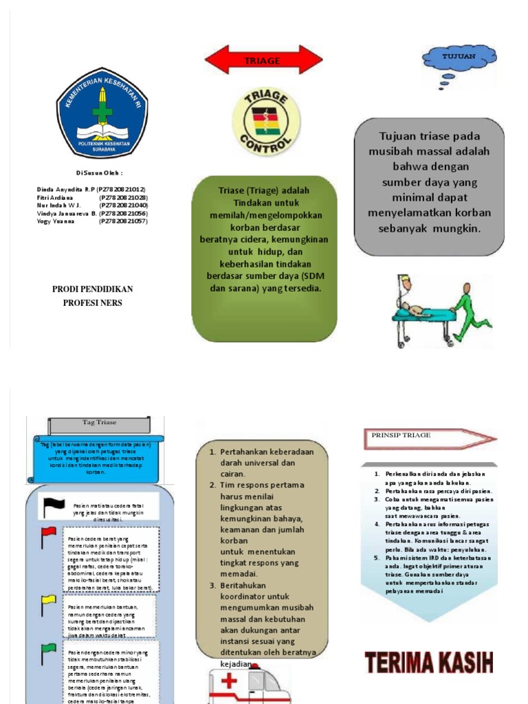 Leaflet Triage | PDF