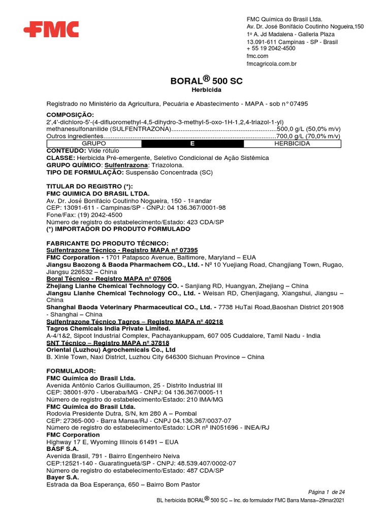 Bula - Boral | PDF | Nuvem | Ferimento