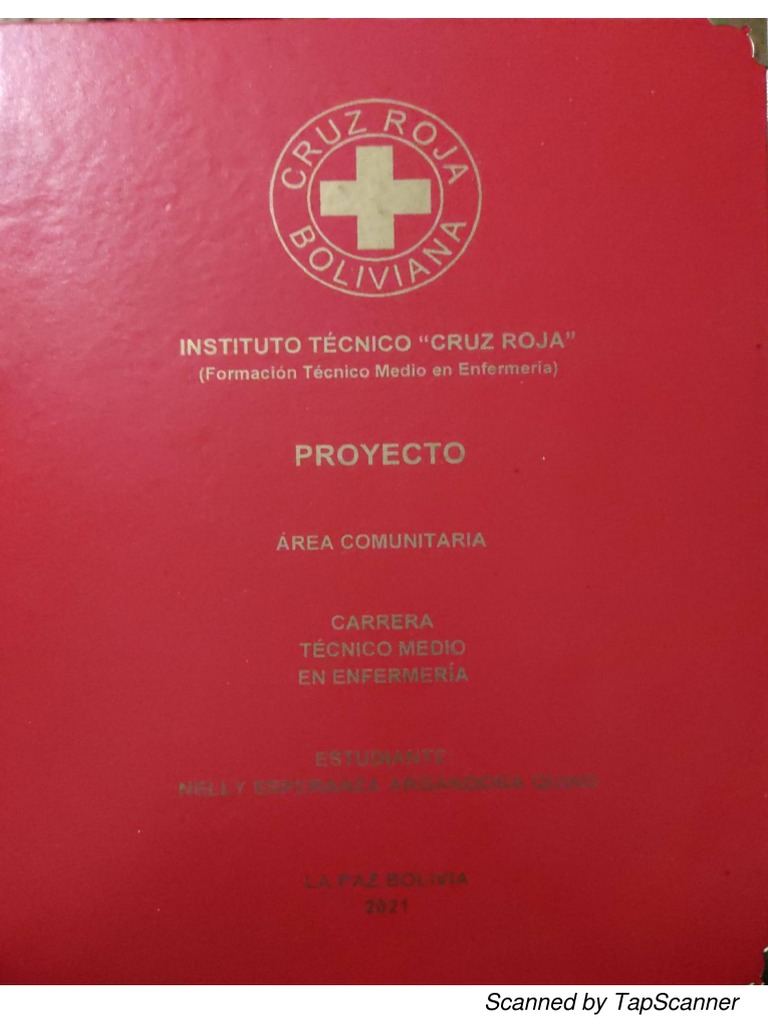 Ejemplo de Proyecto 2021 | PDF | Cooking, Food & Wine