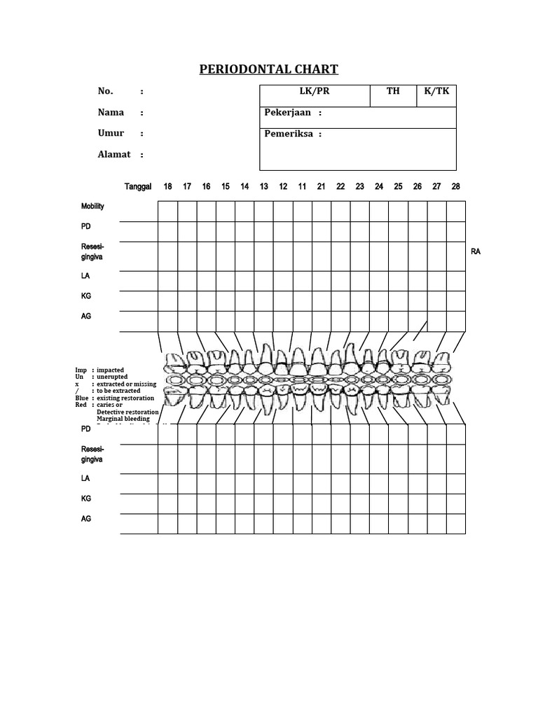 Periodontal Chart | PDF