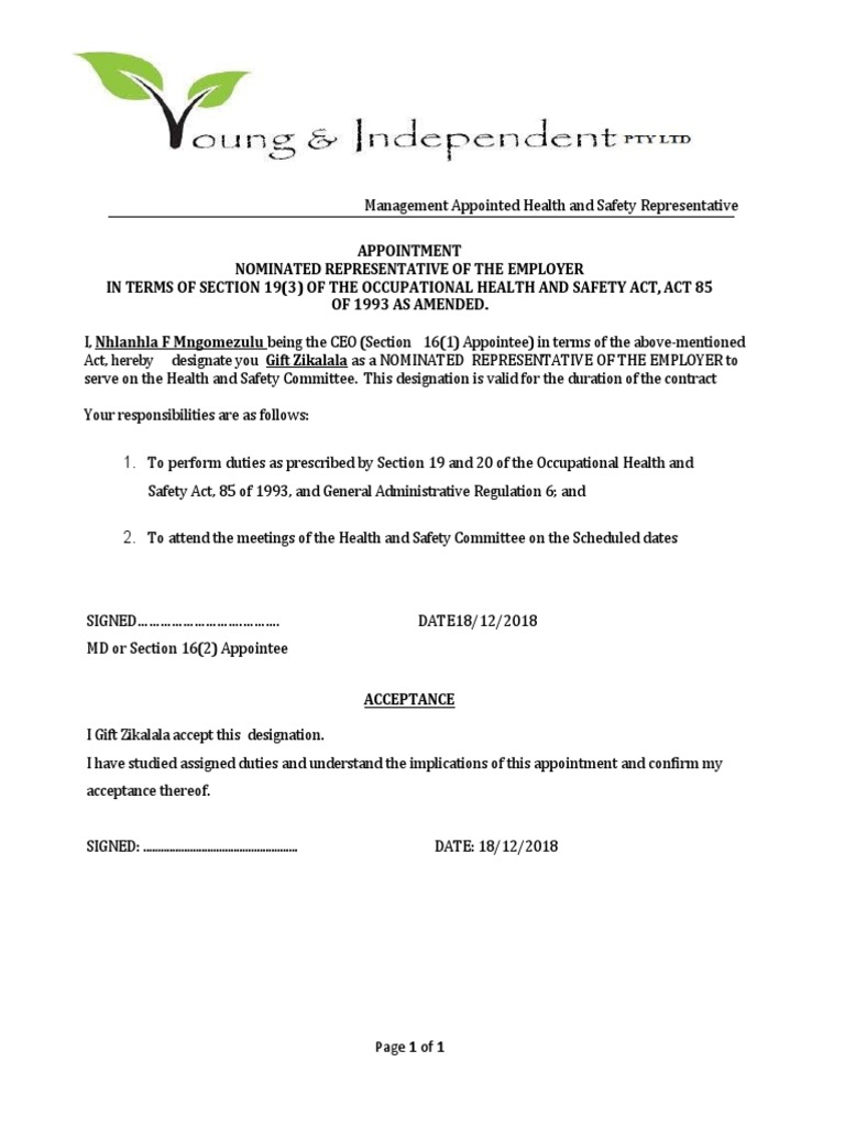 Management Appointed H - S Representative Appointment | PDF