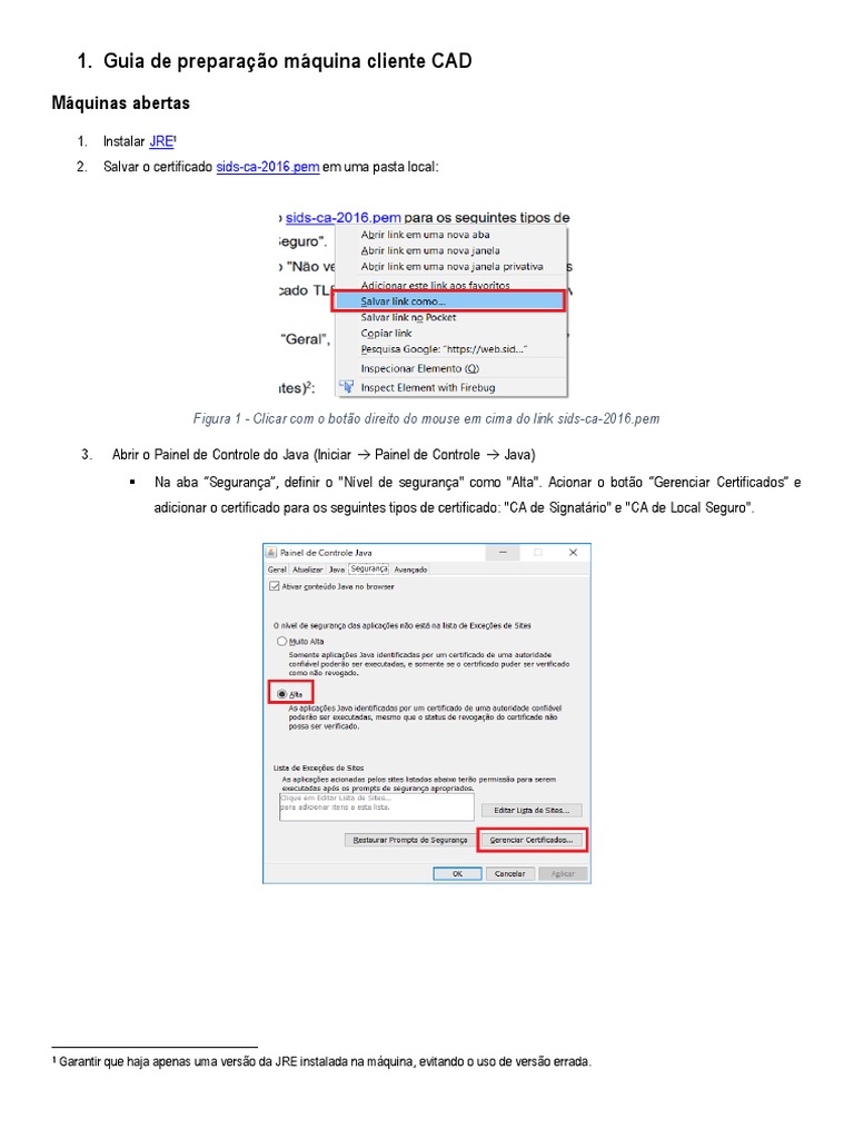 Guia Instalacao Cliente CAD | PDF | Microsoft Windows | Segurança da ...