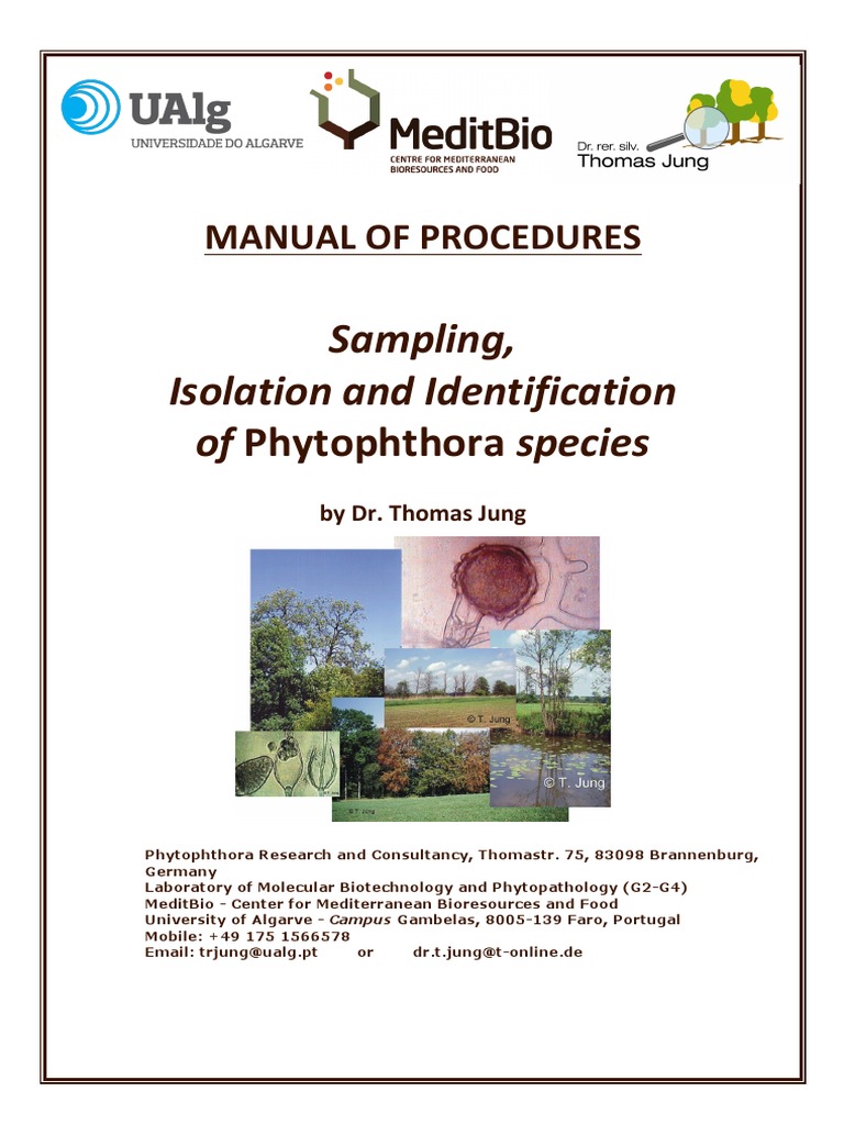 Jung Thomas, Manual Phytophthora Methods | PDF | Trees | Plant Pathology