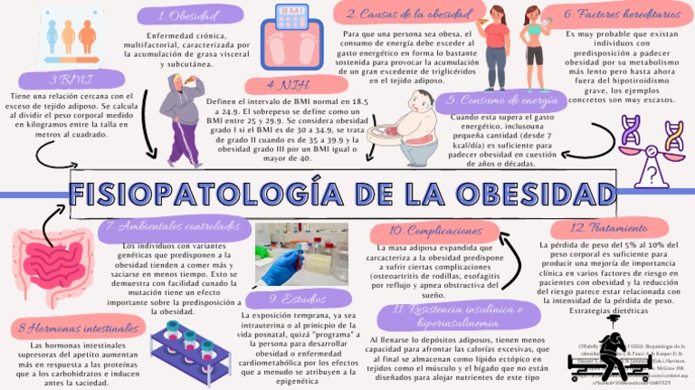 Fisiopatología de La Obesidad | PDF | Obesidad | Tejido adiposo