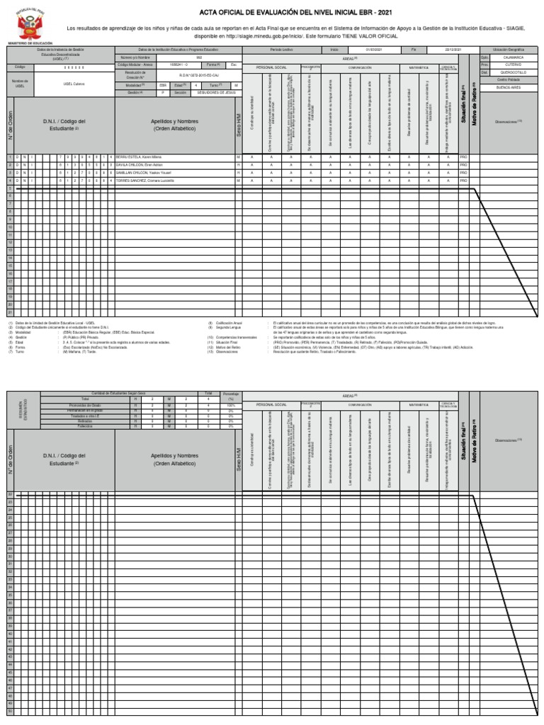 RPT Formato Oficial | PDF