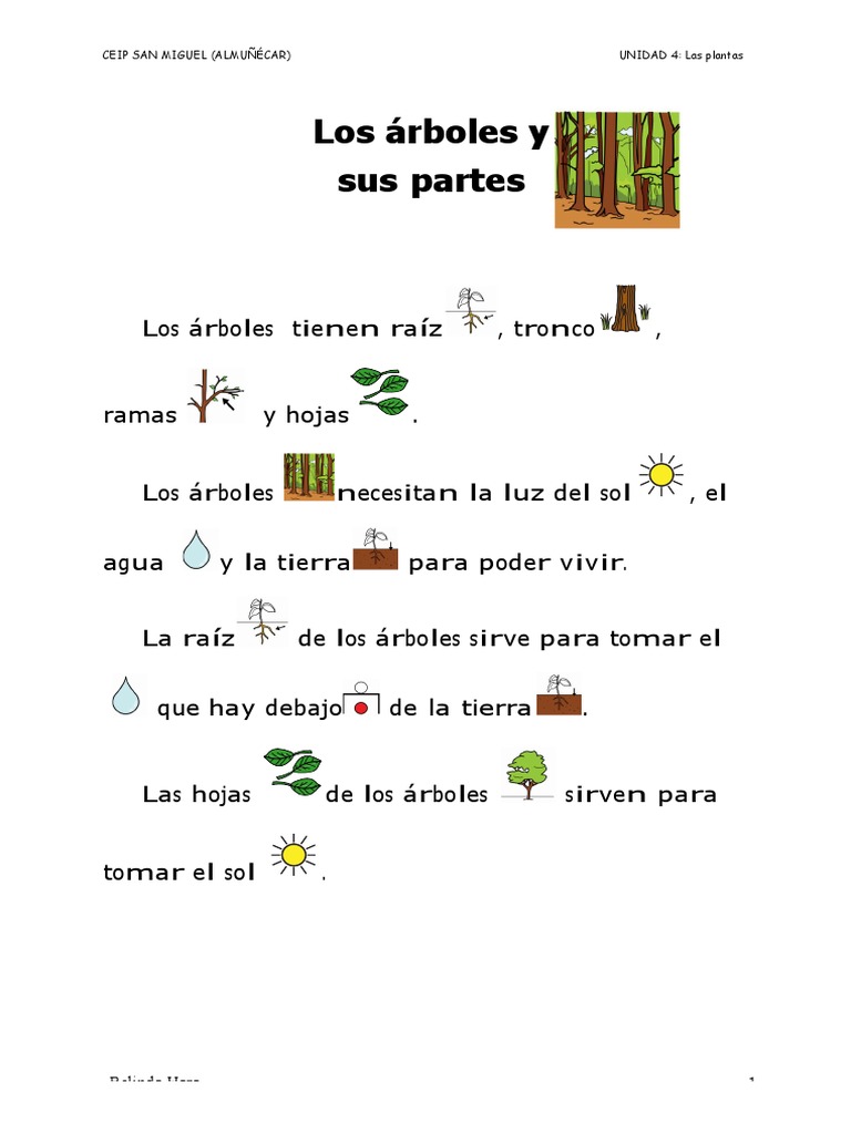 Unidad 4 Las Plantas Final | PDF | Arboles | Tallo de la planta