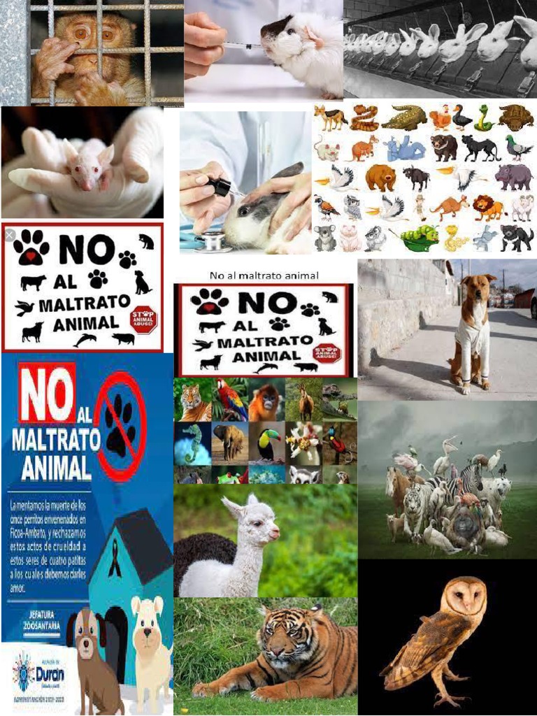 Collage Etica | PDF