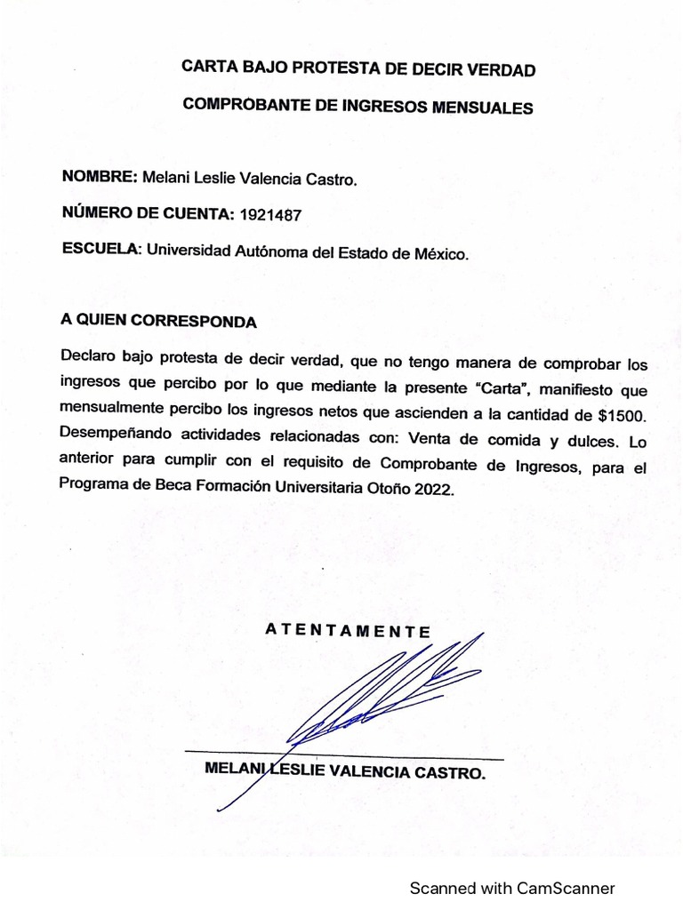 Carta Bajo Protesta de Decir Verdad | PDF