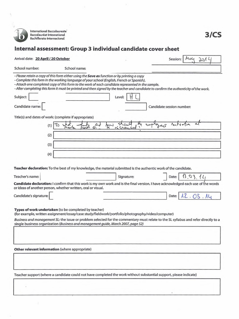 IB Business Management IA Sample E | PDF