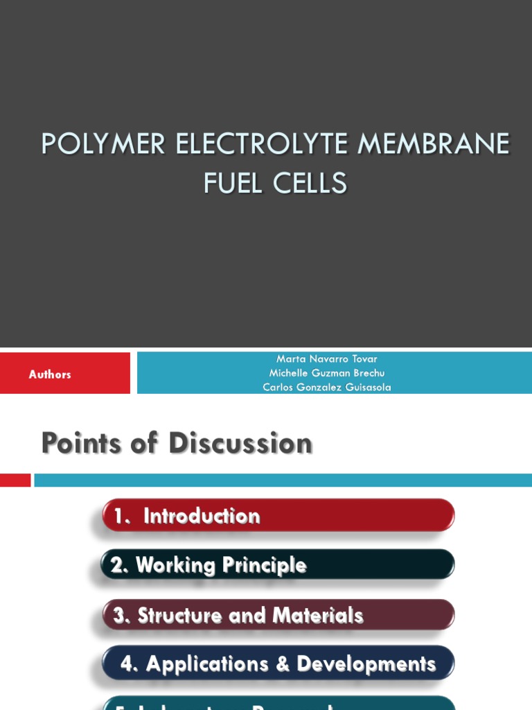 Polymer Electrolyte Membrane Fuel Cells: Authors | PDF | Proton ...