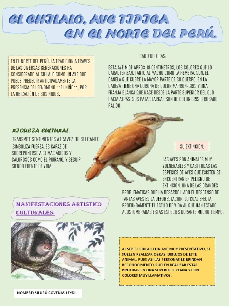 El Chilalo.. | PDF | Aves | Aves holarctic