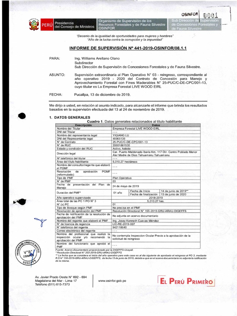 Informe de Supervision 2019 | PDF