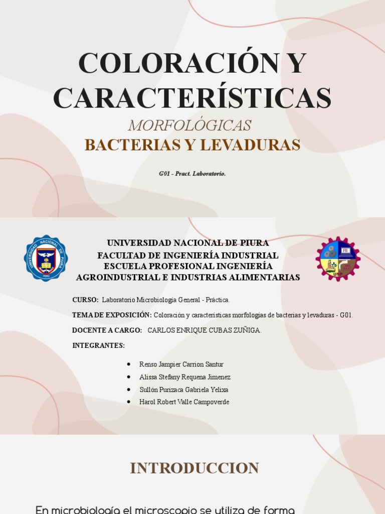 G01 - PRACT. LAB - Microbiología | PDF | Bacterias Gram Positivas | Tinción