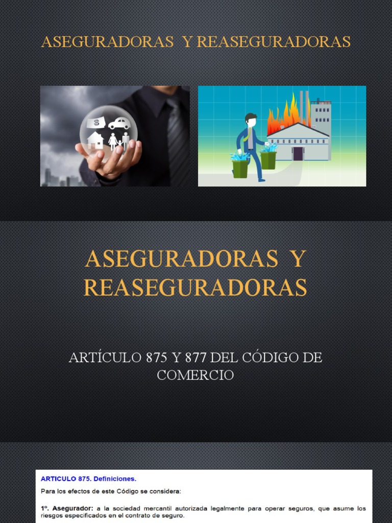 Aseguradoras y Reaseguradoras | PDF | Reaseguro | Seguro