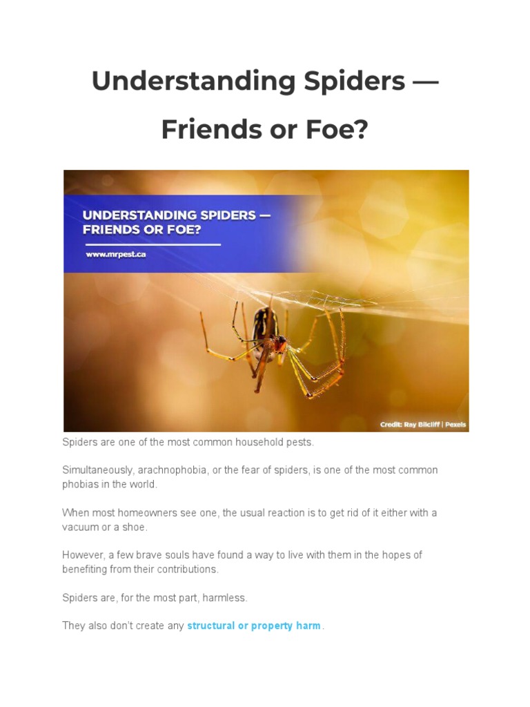 Understanding Spiders - Friends or Foe | PDF | Spider | Insects