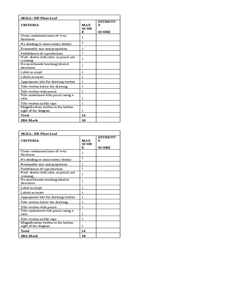 Drawing of Leaf Rubric | PDF | Crafts | Drawing
