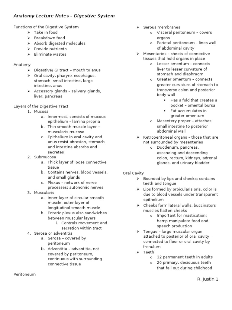 Anatomy Lecture Notes Digestive | PDF | Stomach | Liver