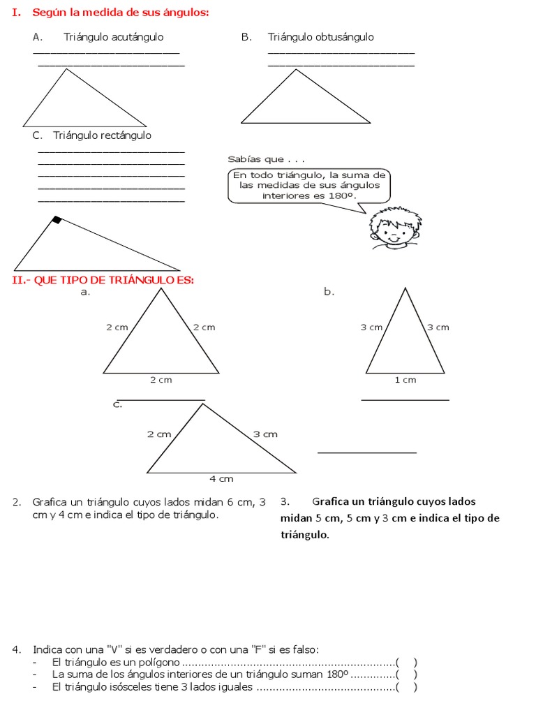 Ficha Triangulo | PDF | Triángulo | Geometría triangular