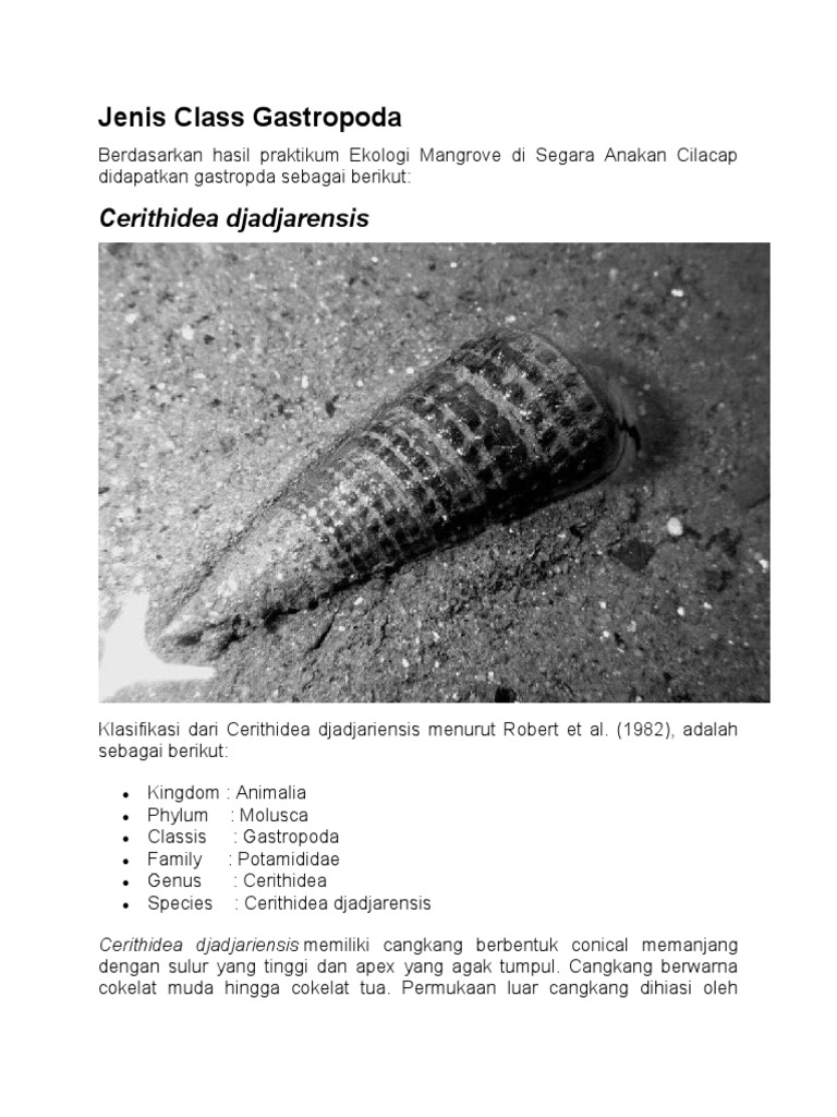 Jenis-jenis Gastropoda di Mangrove | PDF | Sains & Matematika