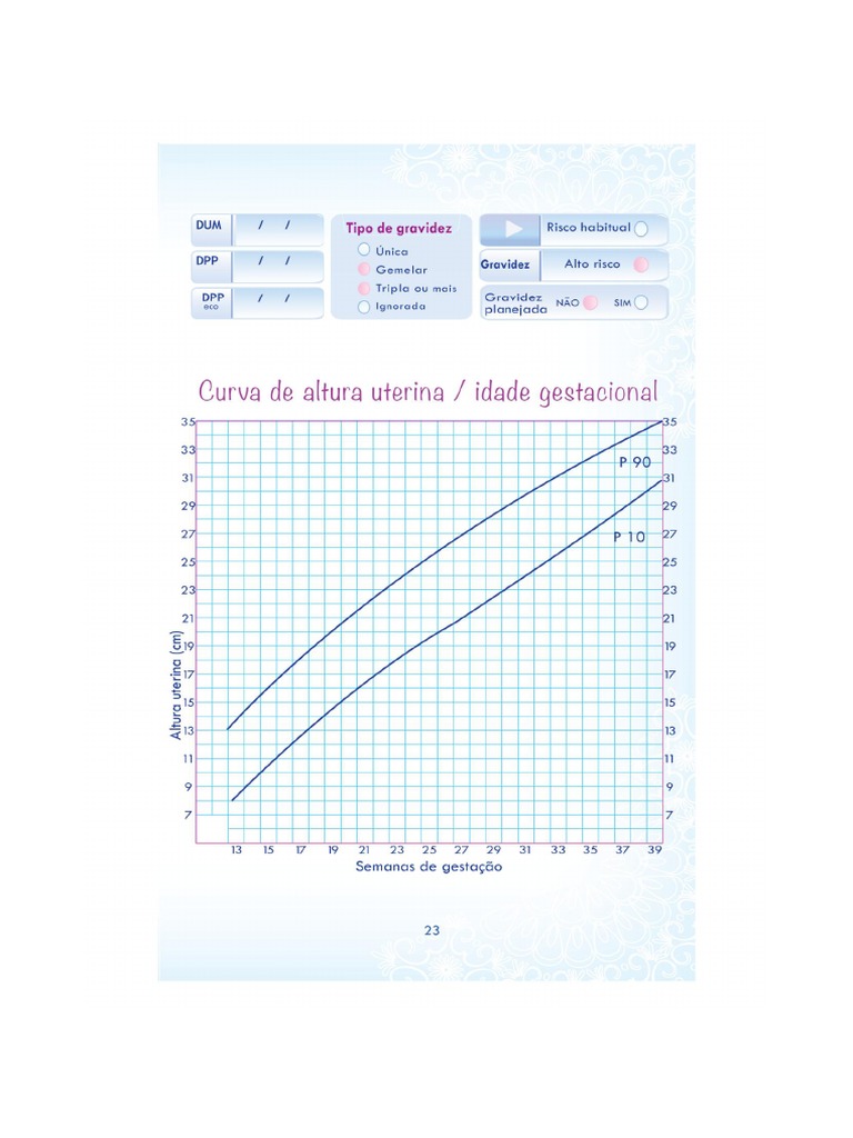 Fichas Pré Natal | PDF