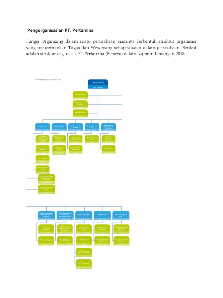 Pengorganisasian PT. Pertamina | PDF