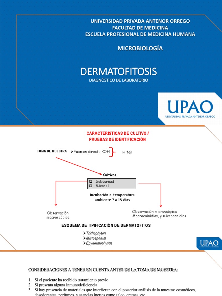 014 Diagnóstico de Dermatofitos | Descargar gratis PDF | Medicina ...