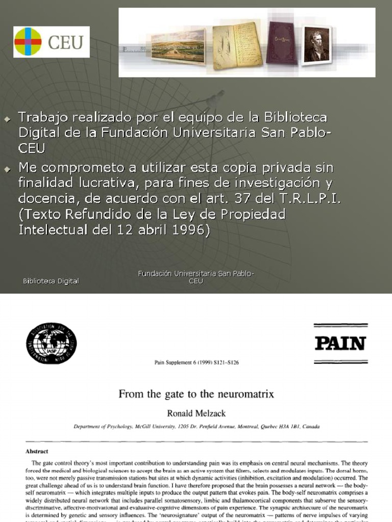 From The Pain To Neuromatrix | PDF | Nervous System ...