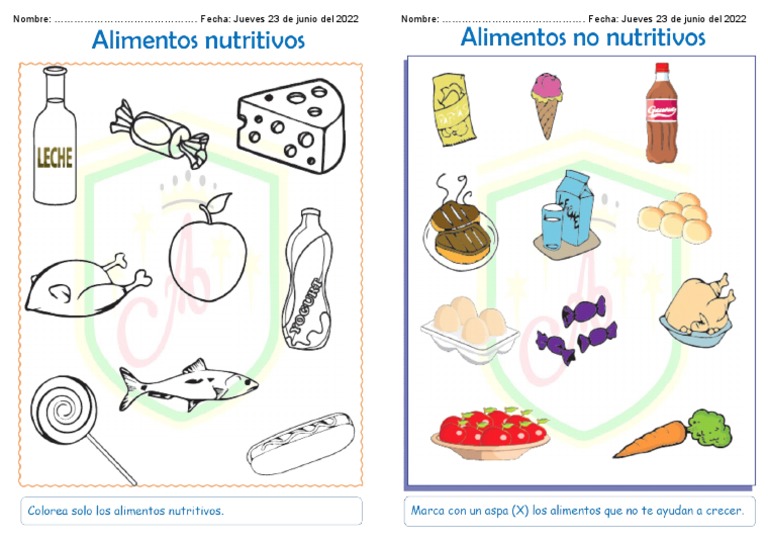 Alimentos Nutritivos y No Nutritivos | PDF