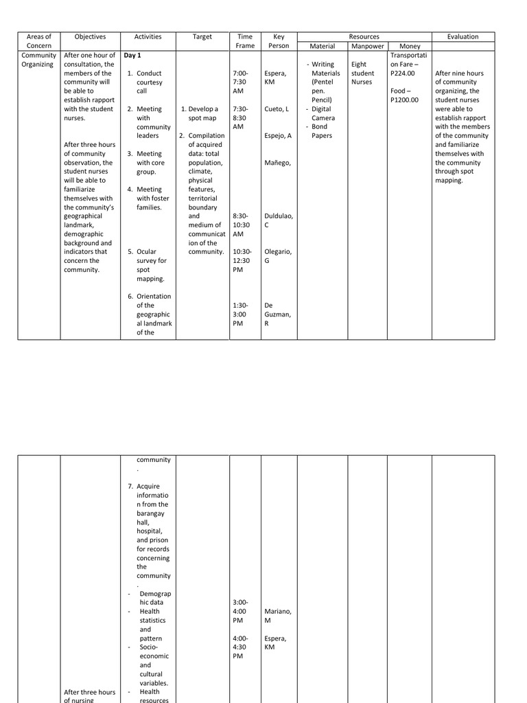 Action Plan | PDF | Nursing | Cognition